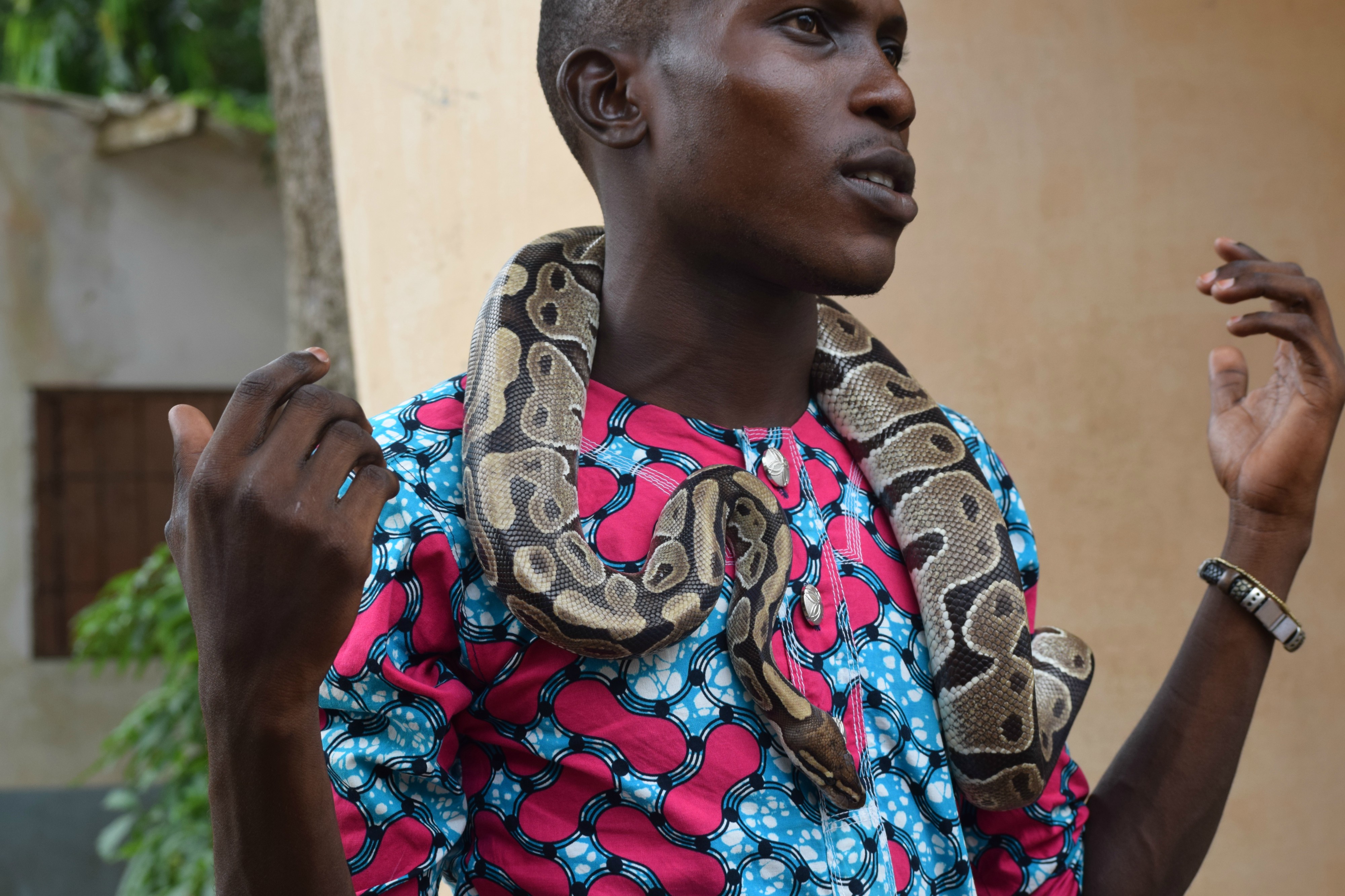 A Visit To The Royal Pythons Temple In Ouidah Benin Republic