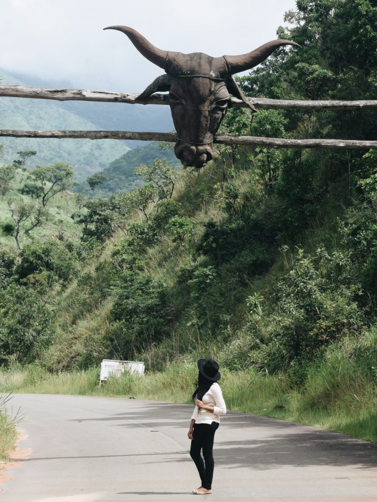 Stunning Views at the Obudu Mountains 2026 | Travel with a Pen
