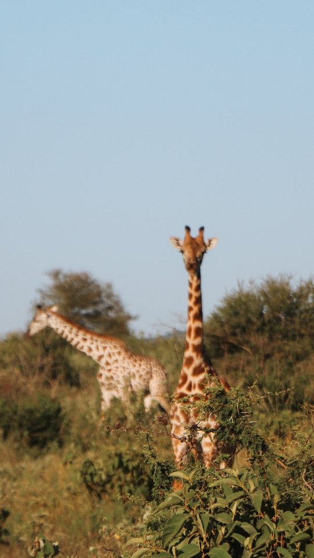 10 Beautiful Rooftops in Istanbul | Travel with a Pen