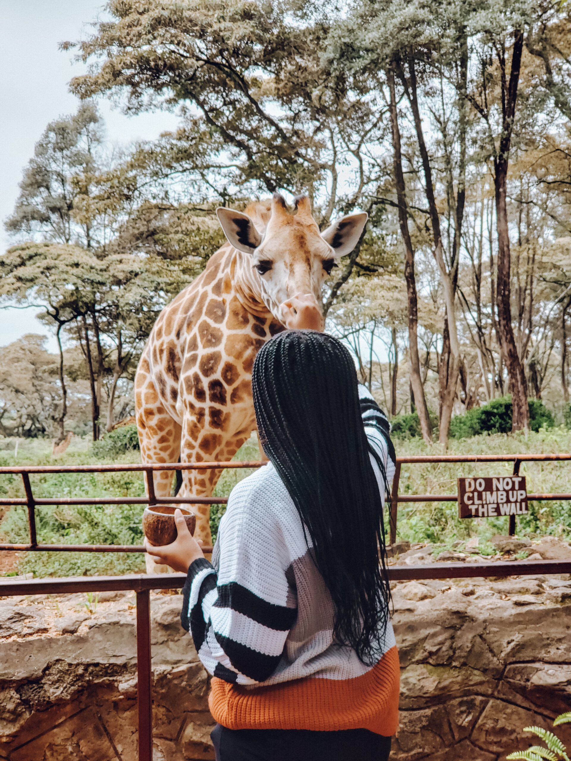 Exciting Visit to the Giraffe Centre 2025 | Travel with a Pen