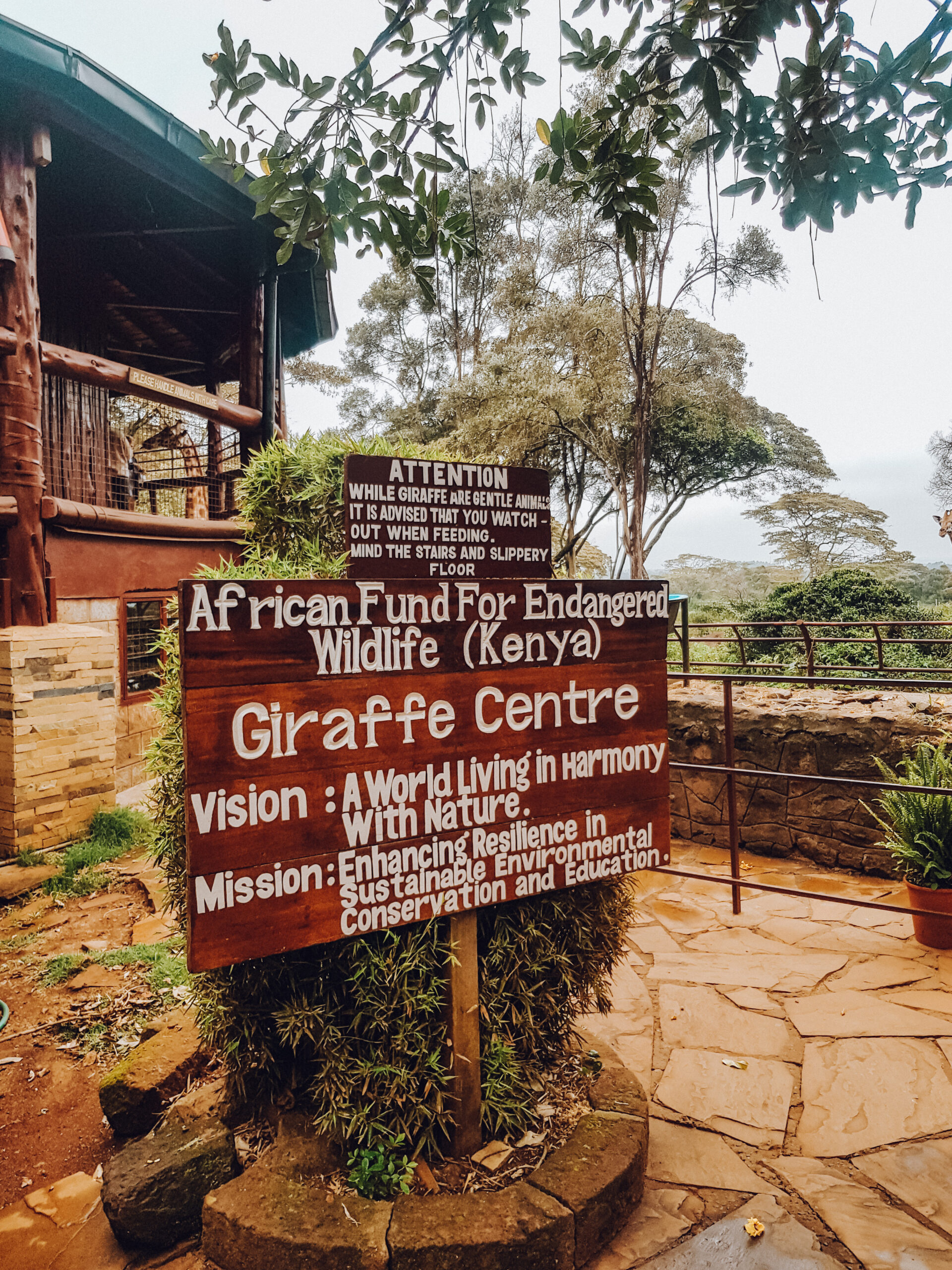 Exciting Visit to the Giraffe Centre 2025 | Travel with a Pen