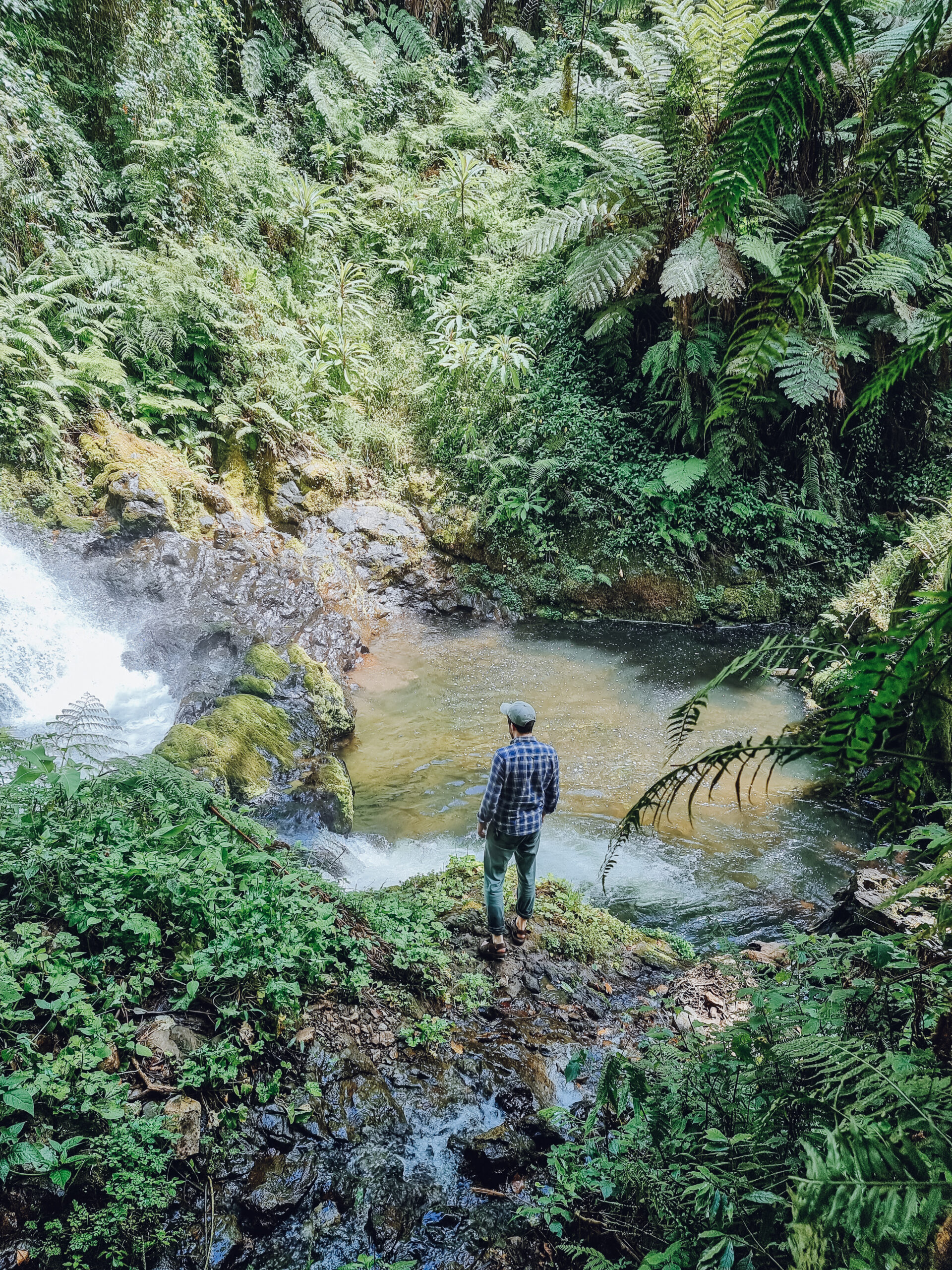 Castle Forest Lodge Superb Camping Trip 2025