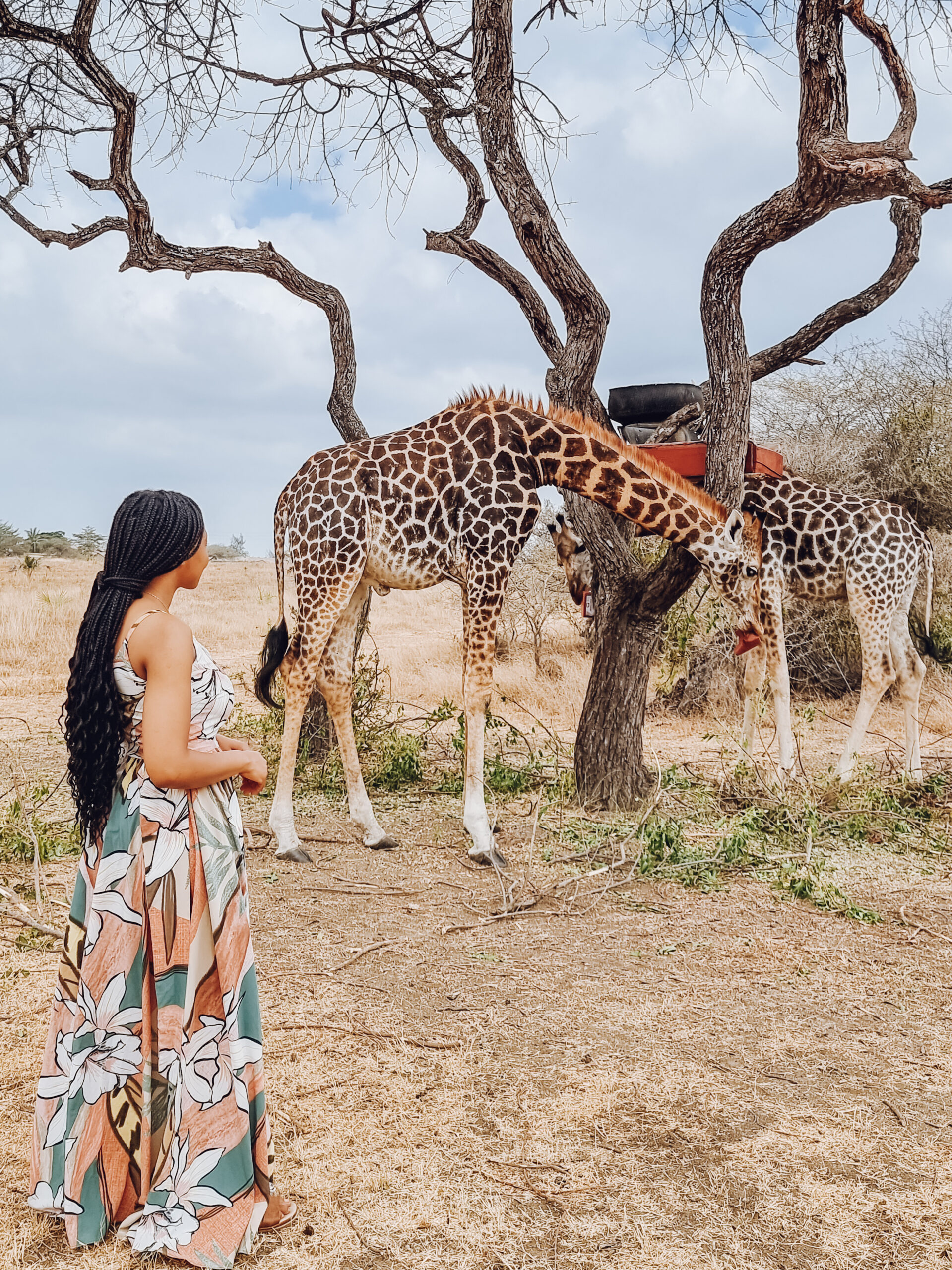 SGR Inter County Train First Class Concise Review 2025