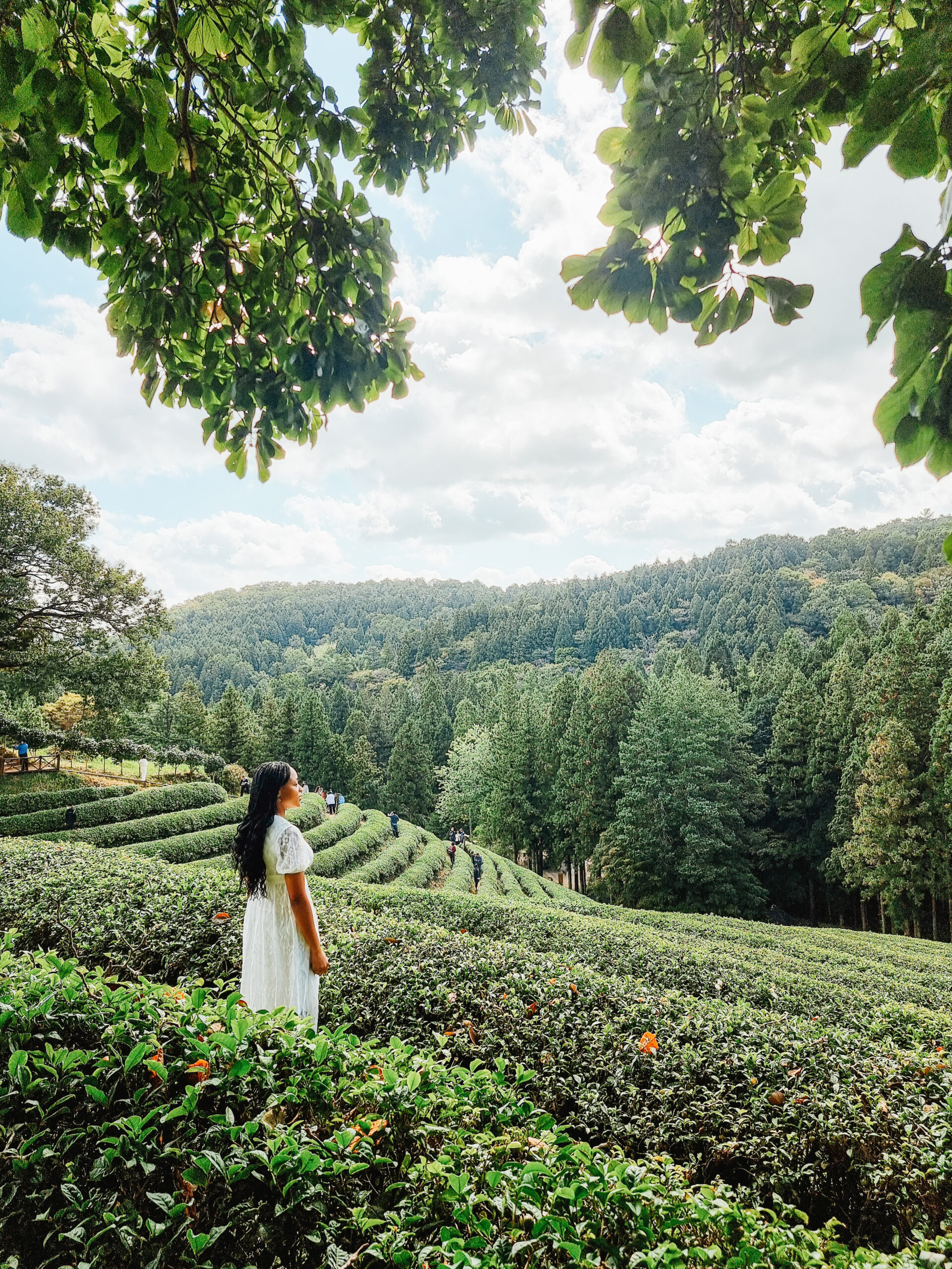 Comprehensive South Korea Travel Guide for First Time Visitors 2025