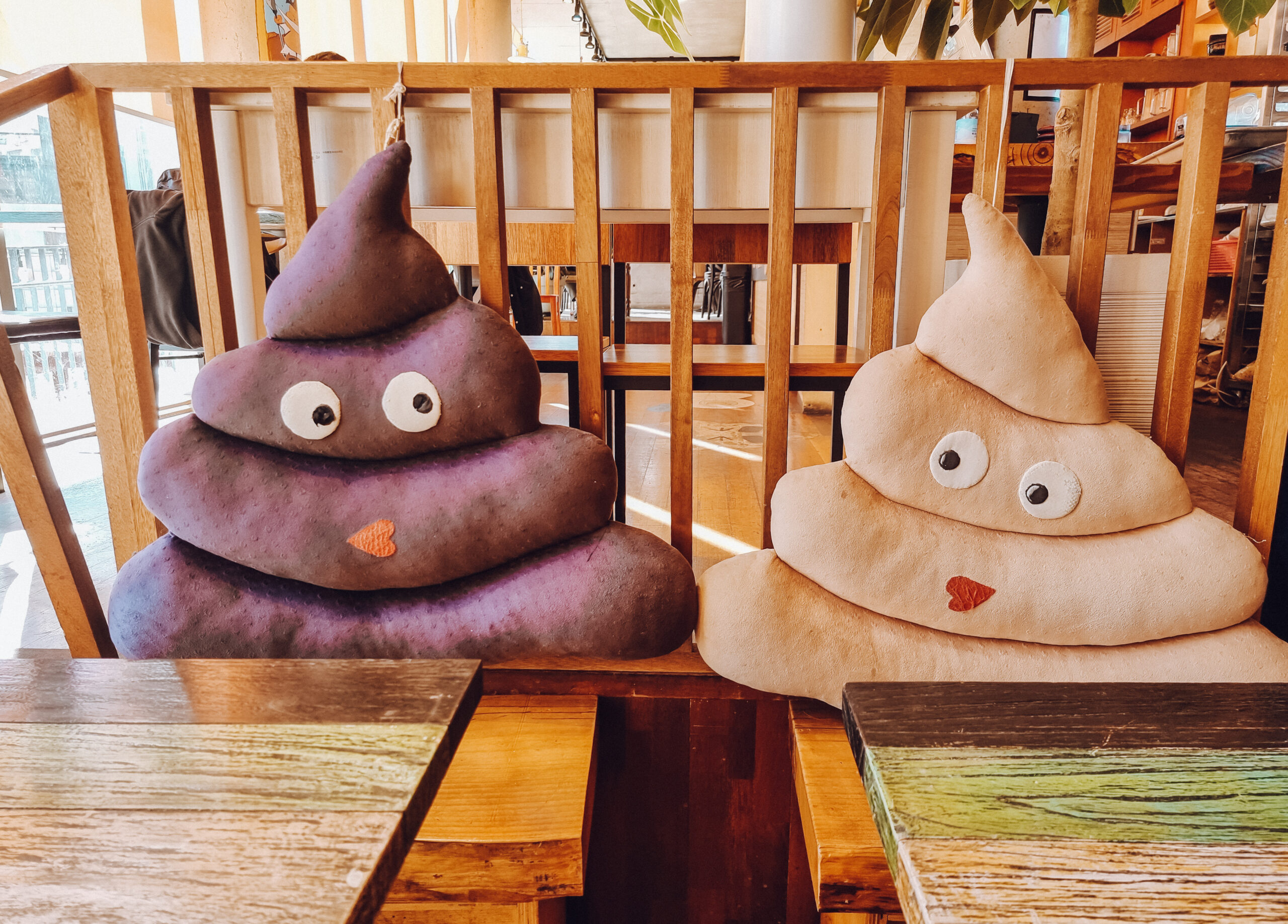 Ddong Café Seoul Unique and Bizarre Poop Themed Café 2025