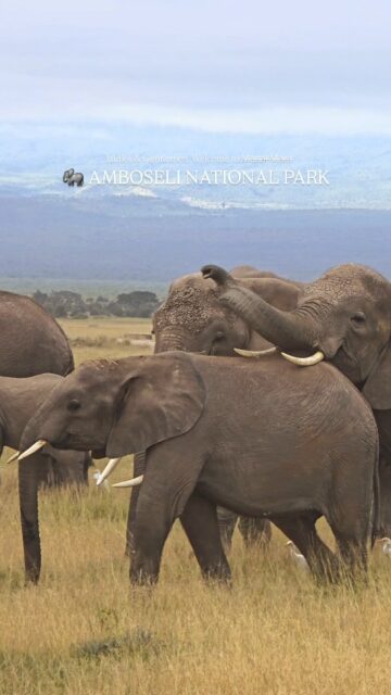 SGR Inter County Train First Class Concise Review 2025