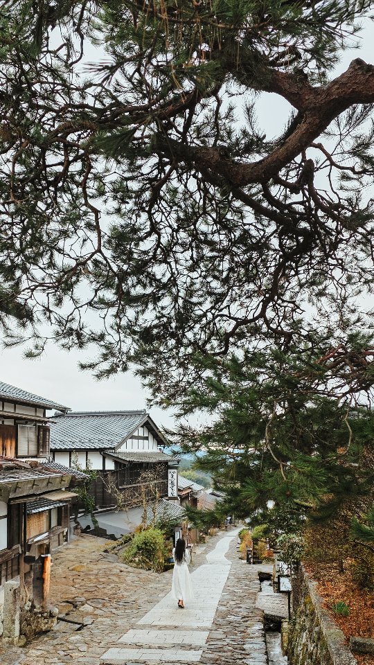 Nairobi Arboretum Comprehensive Guide 2025 | Travel with a Pen