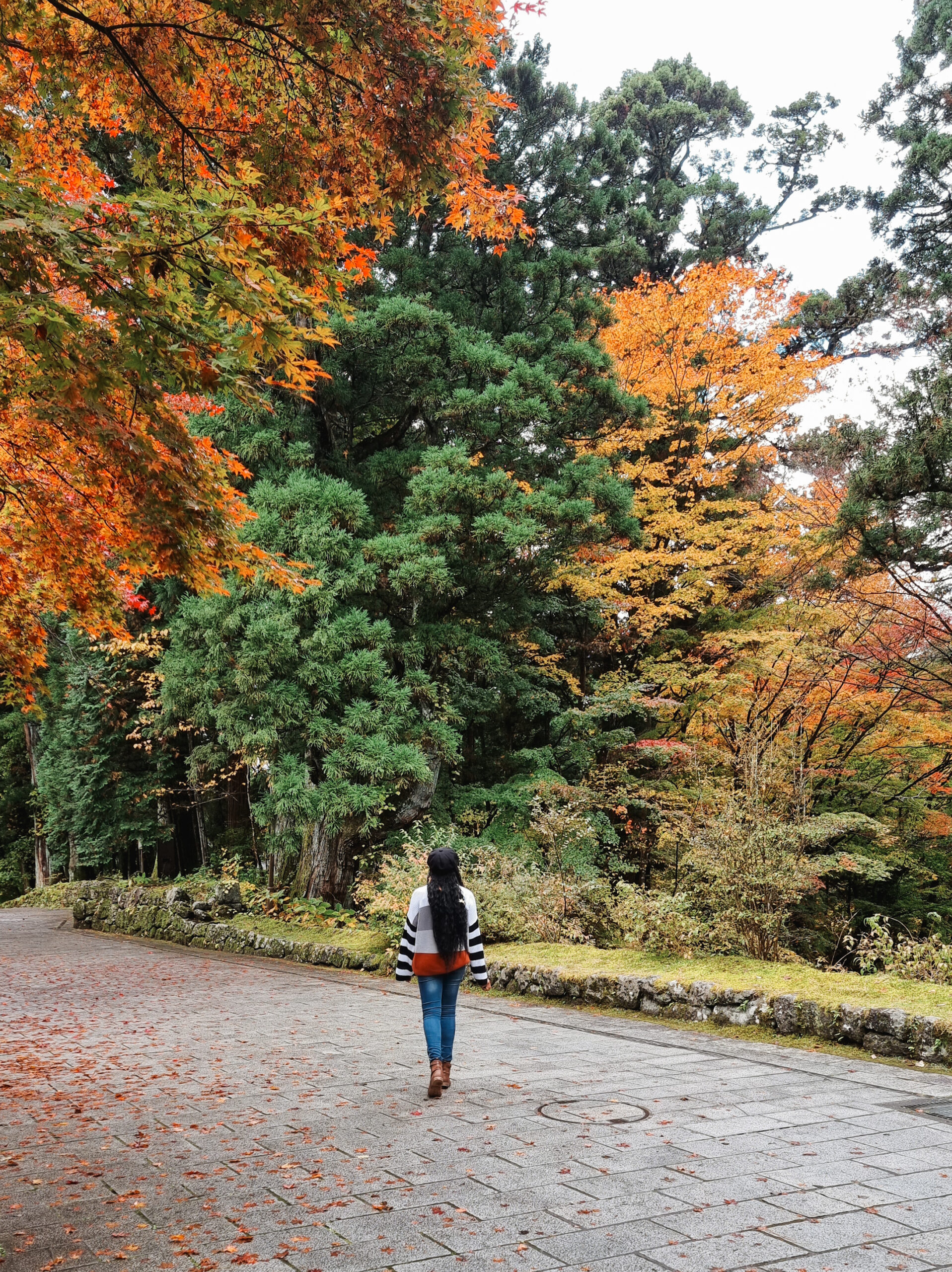 Nikko Stunning Autumn Foliage 2026 | Travel with a Pen