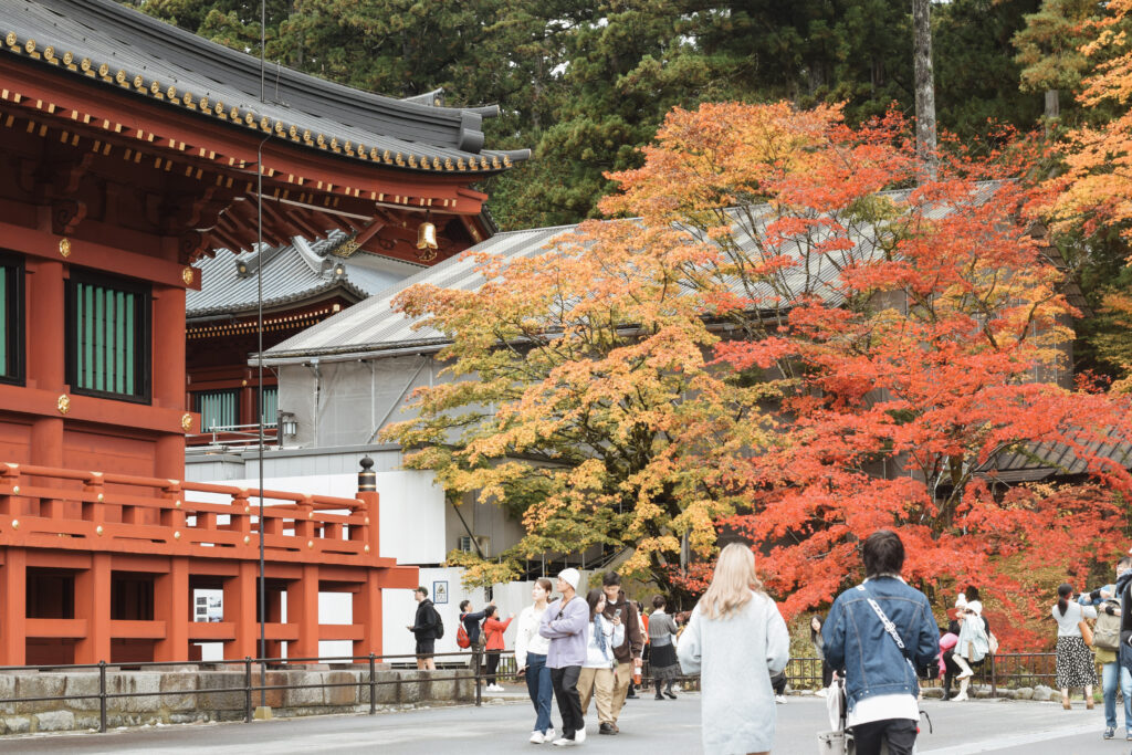 Nikko Stunning Autumn Foliage 2025 | Travel with a Pen