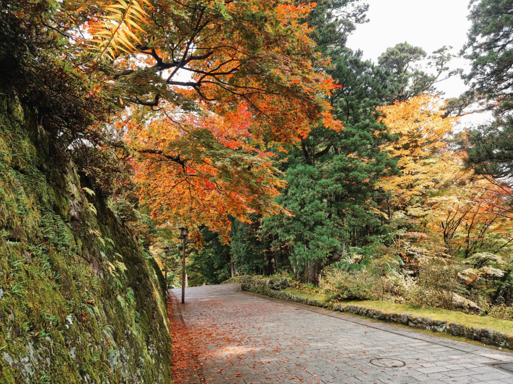 Nikko Stunning Autumn Foliage 2024 | Travel with a Pen