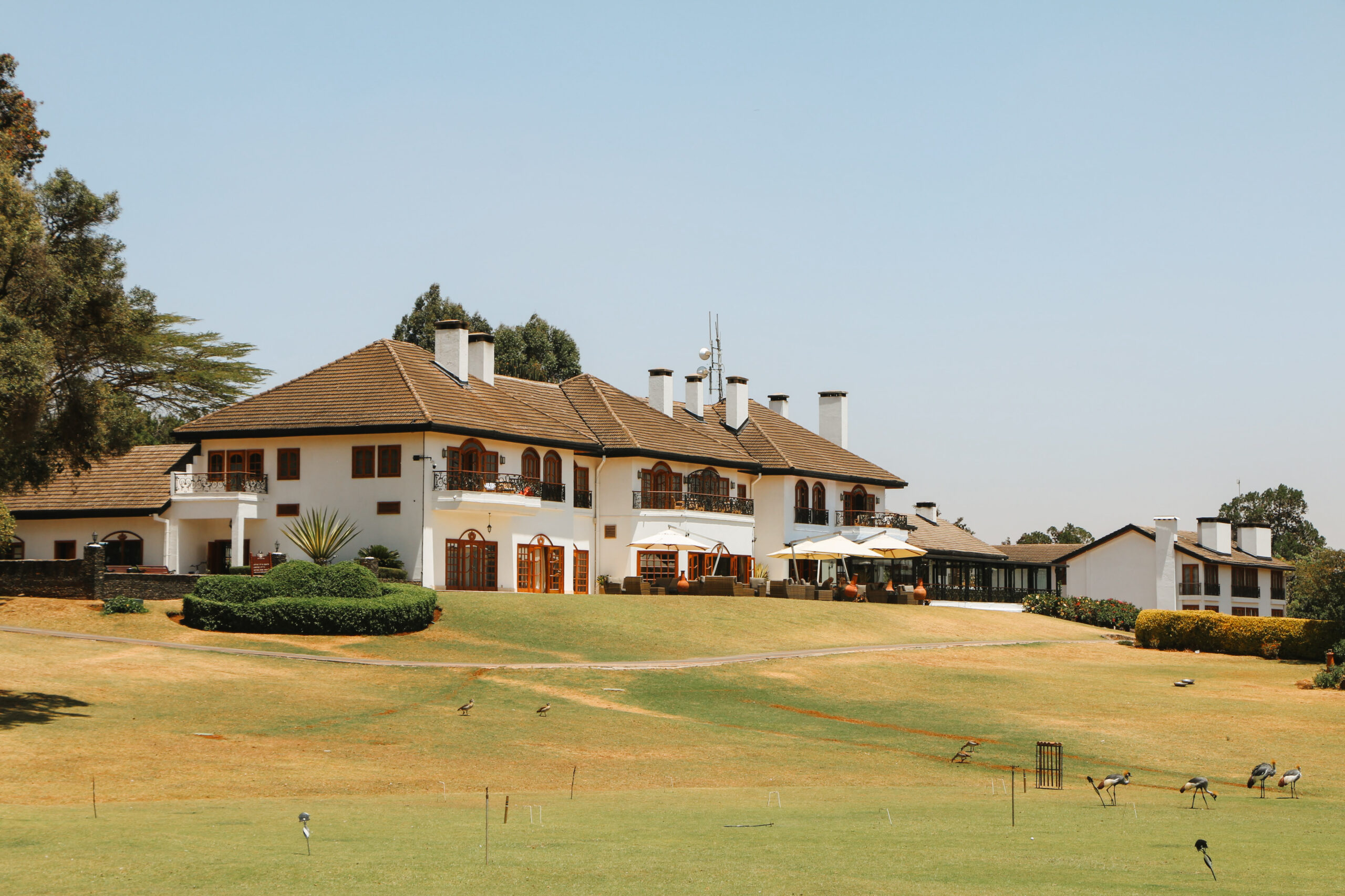 Kenya Travel: 3 Weeks Fun Family Adventure | Travel with a Pen