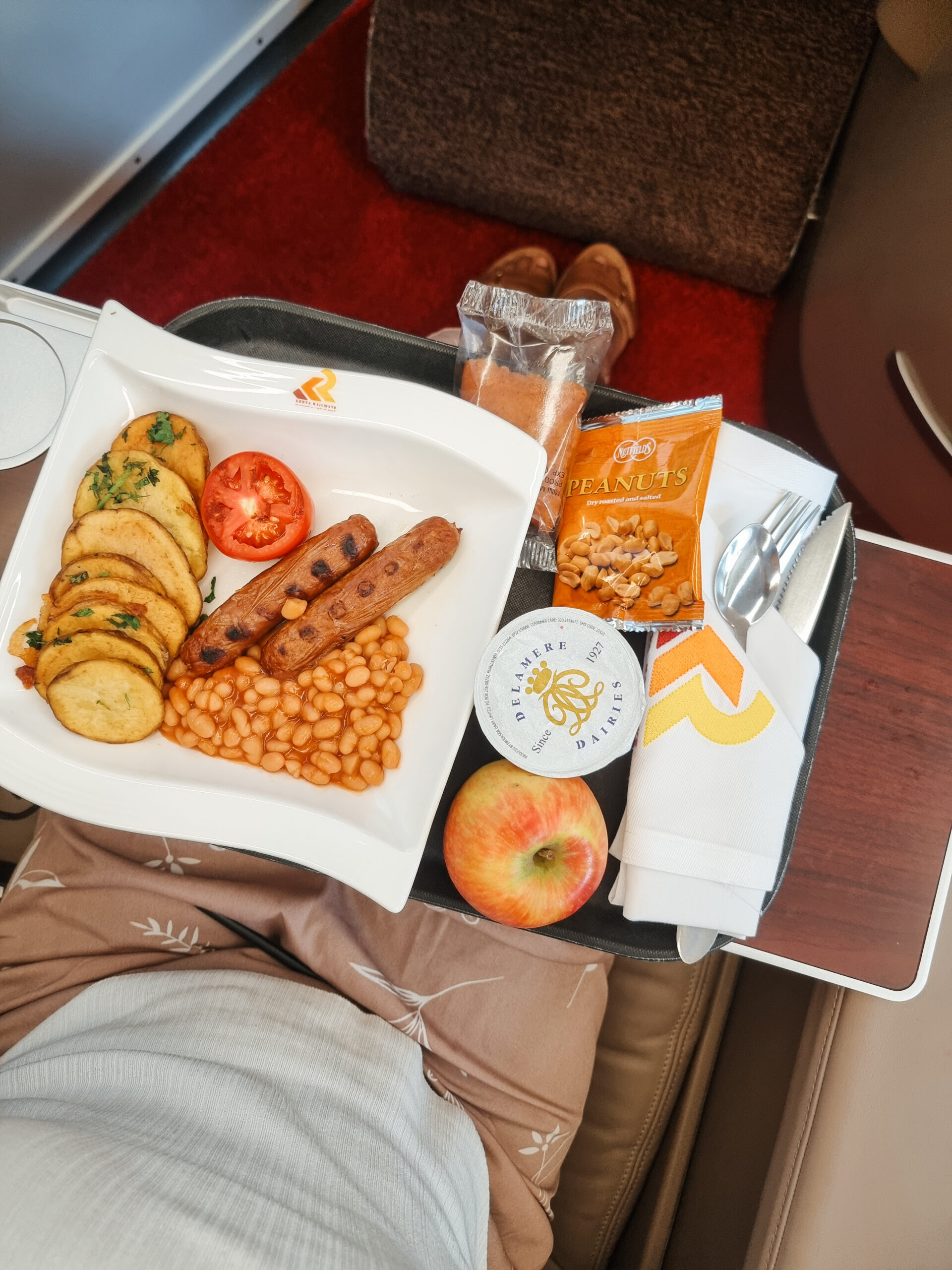 Luxury SGR Premium Class 6 Hour Train in Kenya - Is it Worth it?