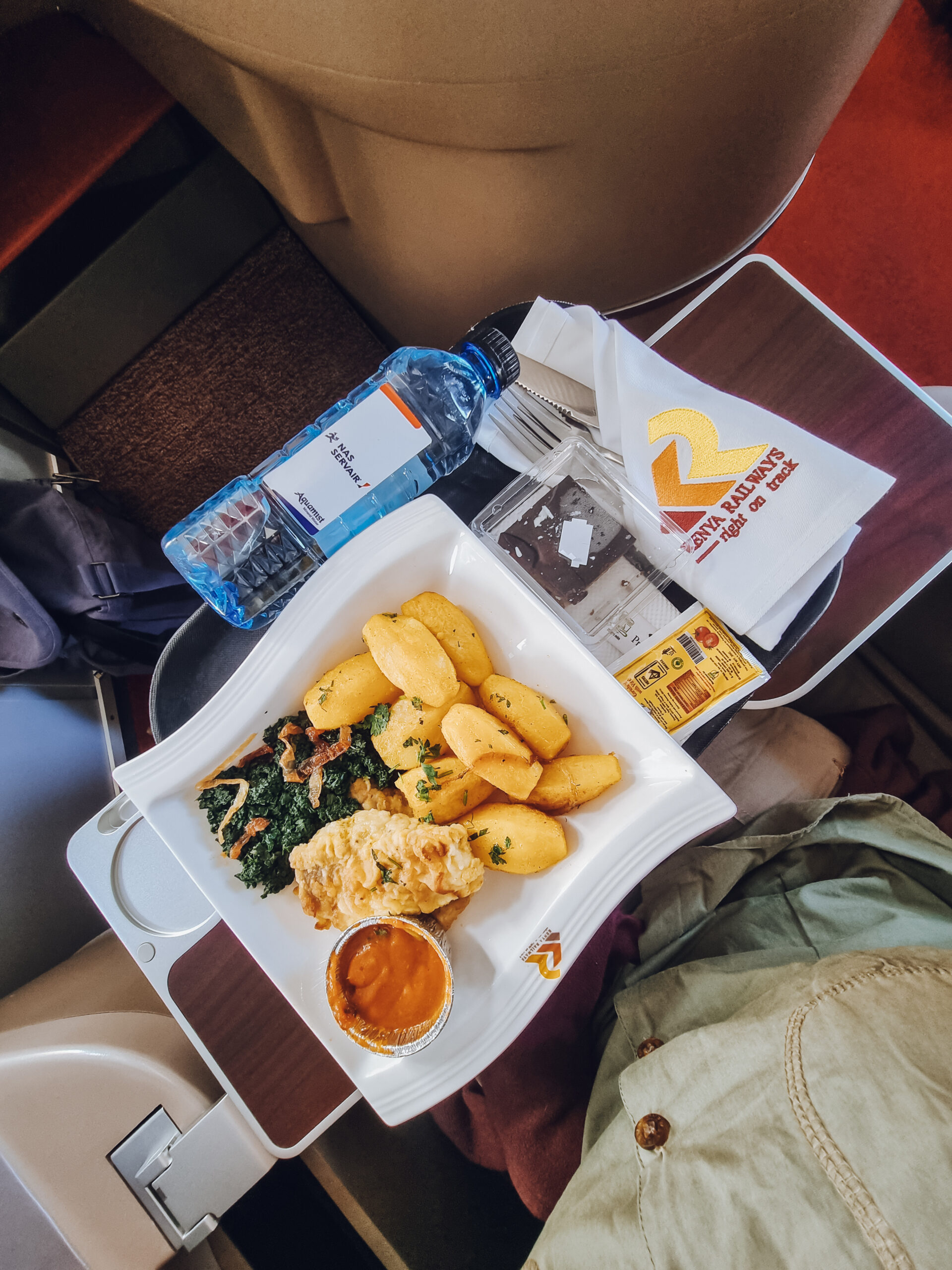 Luxury SGR Premium Class 6 Hour Train in Kenya - Is it Worth it?