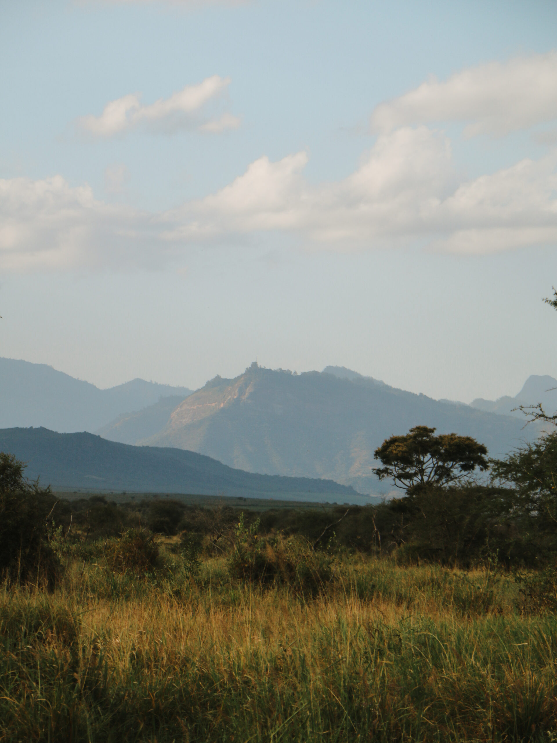 Luxury SGR Premium Class 6 Hour Train in Kenya - Is it Worth it?